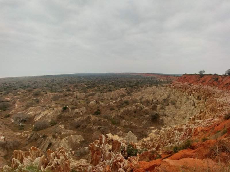 Parque Nacional Da Quissama (14) | Portal das Viagens