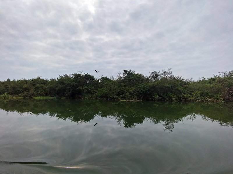Parque Nacional Da Quissama (22) | Portal das Viagens